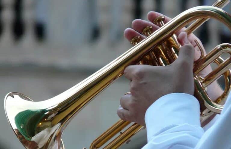 Trumpet Notes: A Beginner's Guide | Ted's List