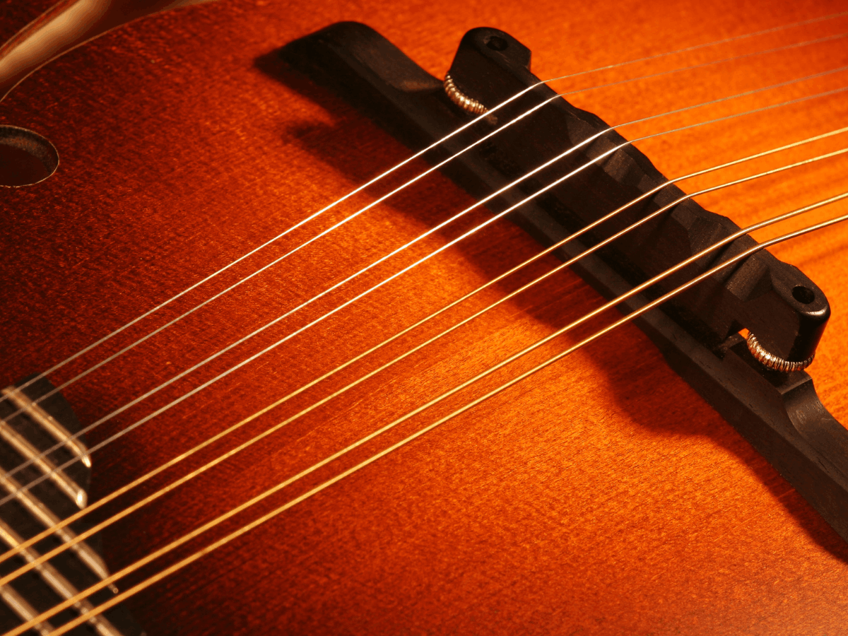 How Many Strings Does A Mandolin Have? | Ted's List