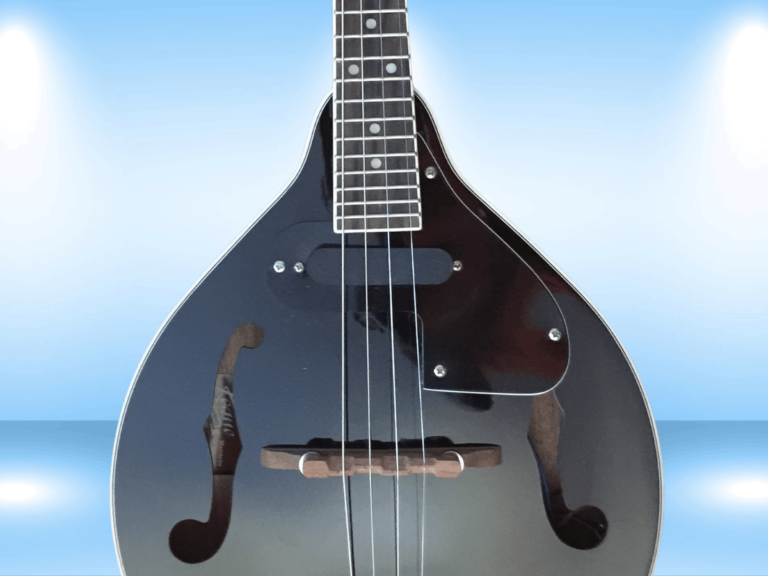 How Many Strings Does A Mandolin Have? | Ted's List