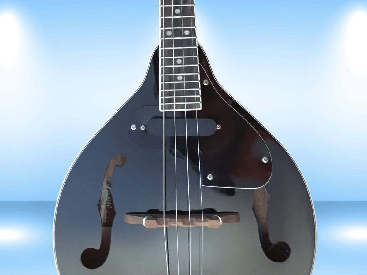 How Many Strings Does A Mandolin Have? | Ted's List