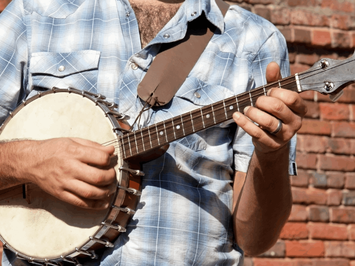 How Many Strings Does A Banjo Have? | Ted's List