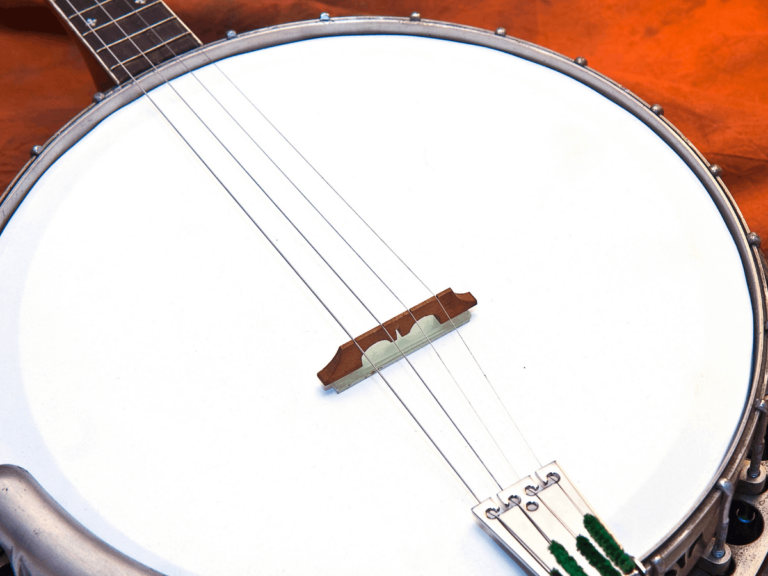 How Many Strings Does A Banjo Have? | Ted's List