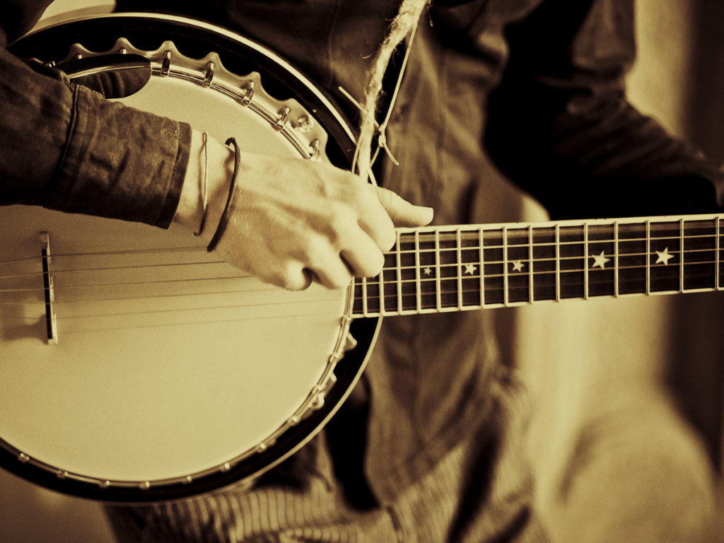 How Many Strings Does A Banjo Have? | Ted's List