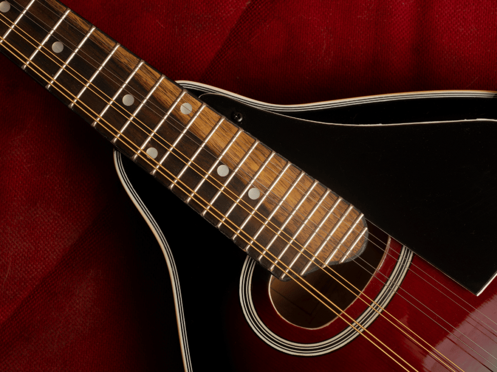How Many Strings Does A Mandolin Have? | Ted's List