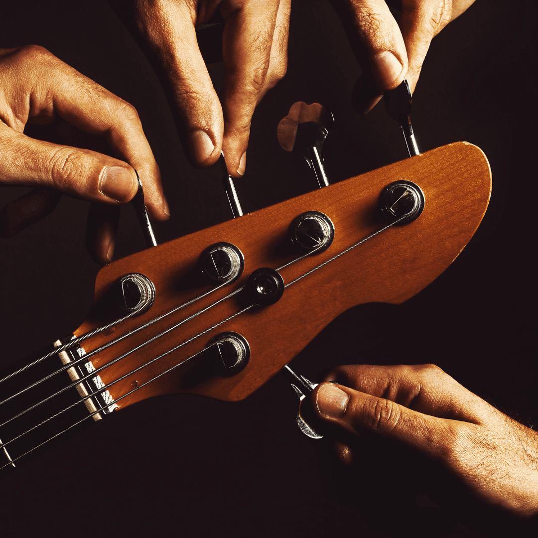 How Often Should You Change Bass Strings? | Ted's List