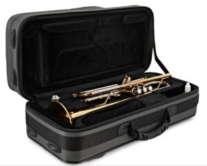 The 9 Most Iconic Trumpet Solos Of All Time: Listen And Learn | Ted's List
