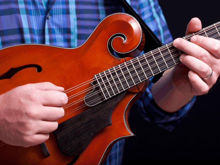 How Many Strings Does A Mandolin Have? | Ted's List