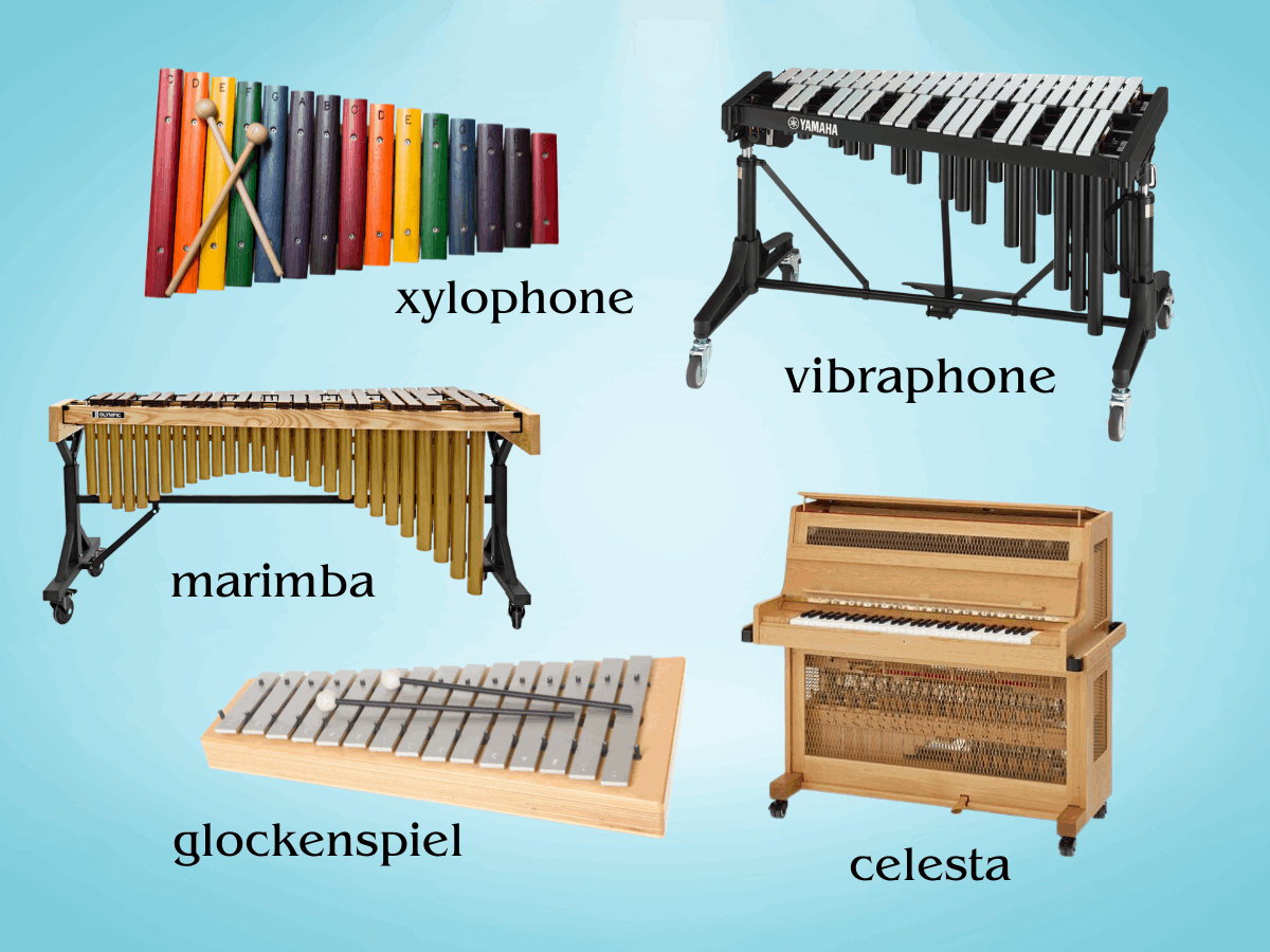 The Ultimate List Of Percussion Instruments In The Orchestra | Ted's List