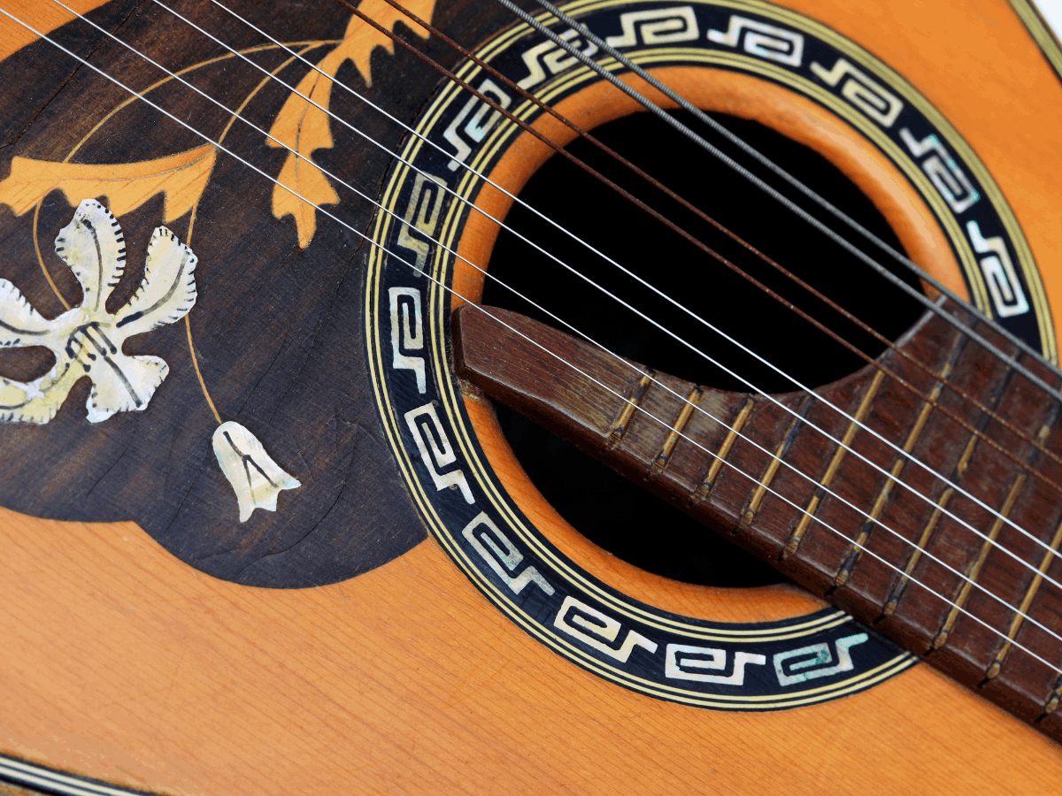 How Many Strings Does A Mandolin Have? | Ted's List