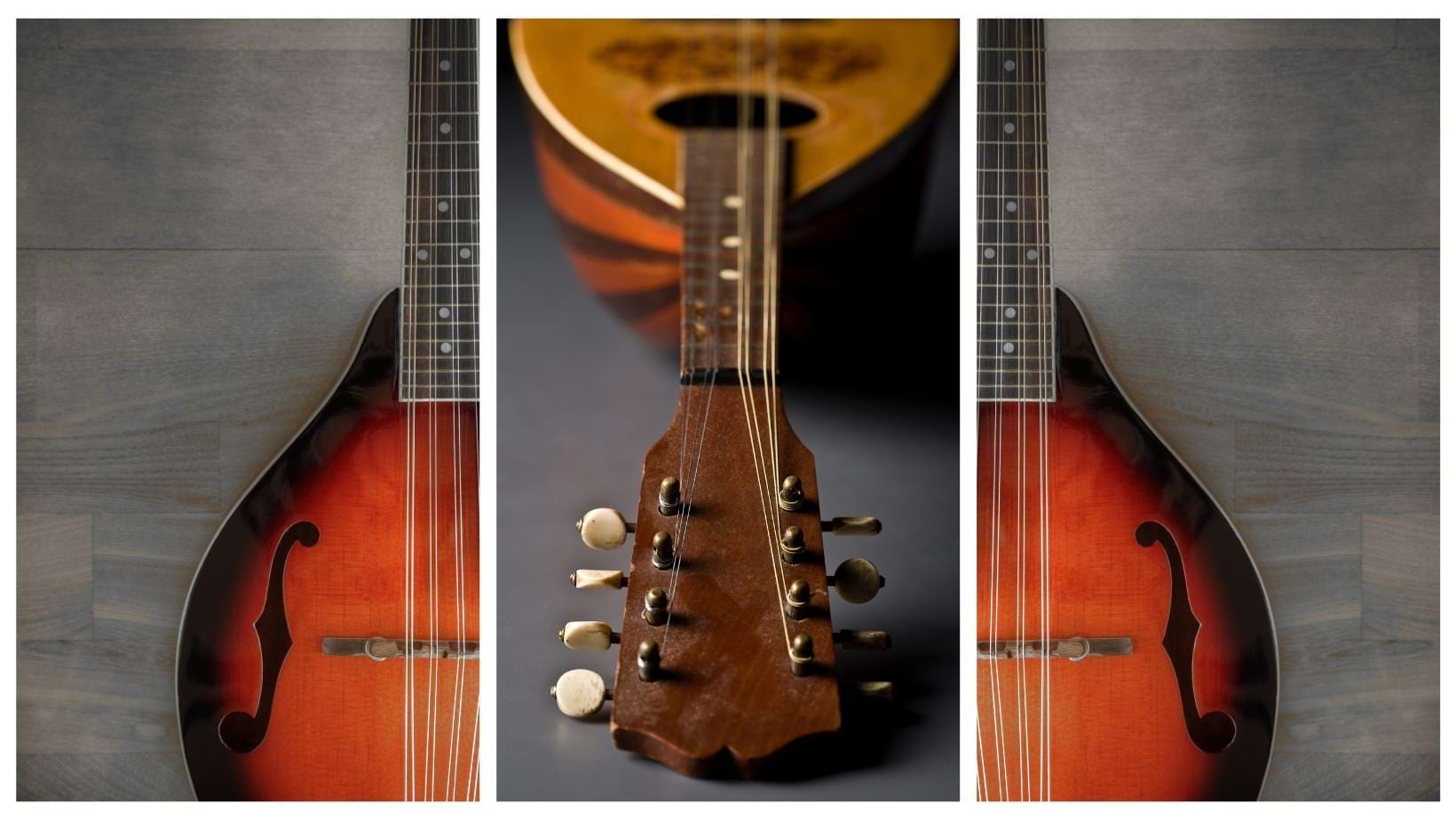 How Many Strings Does A Mandolin Have? | Ted's List