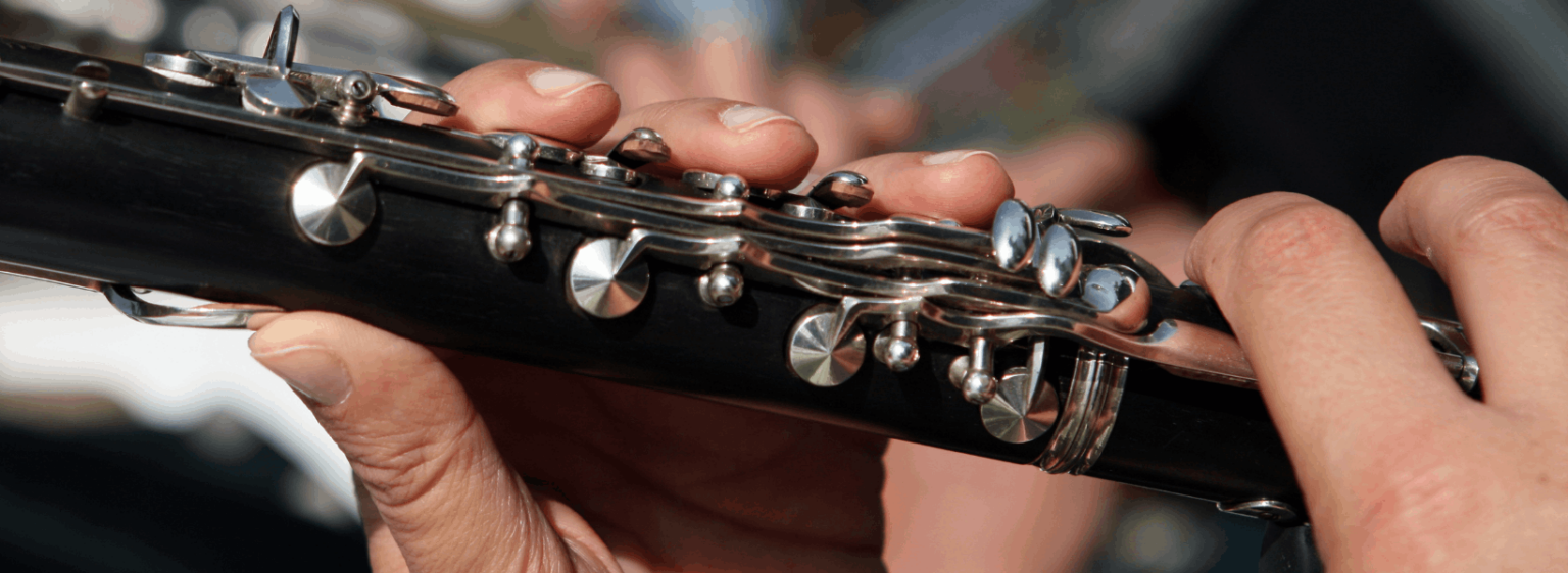 What Is The Best Beginner Oboe Of 2025? | Ted's List