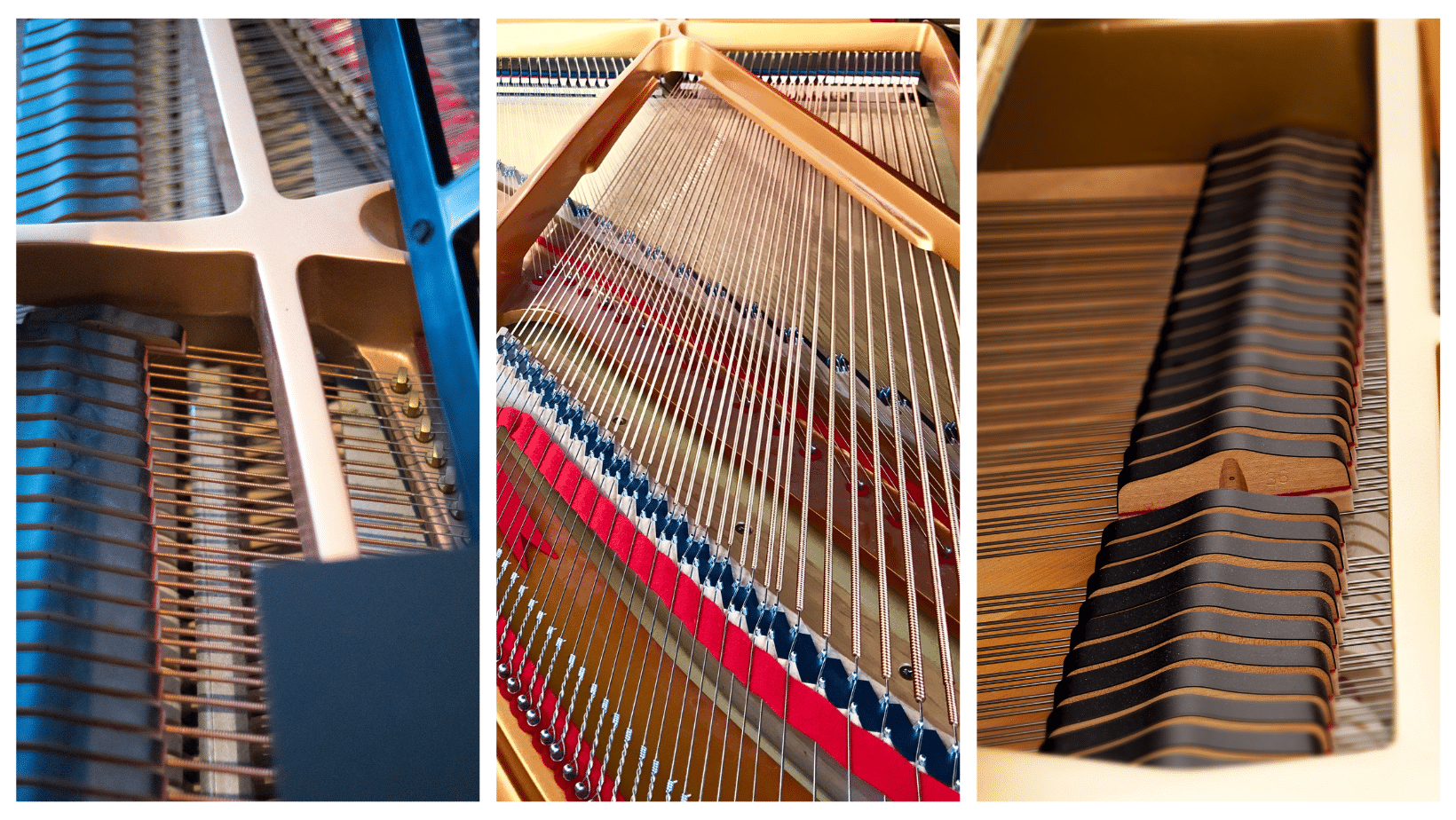 How Many Strings Does A Piano Have? | Ted's List
