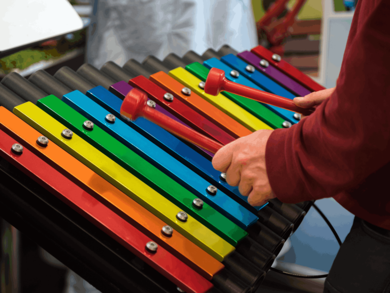 The Ultimate List Of Percussion Instruments In The Orchestra | Ted's List