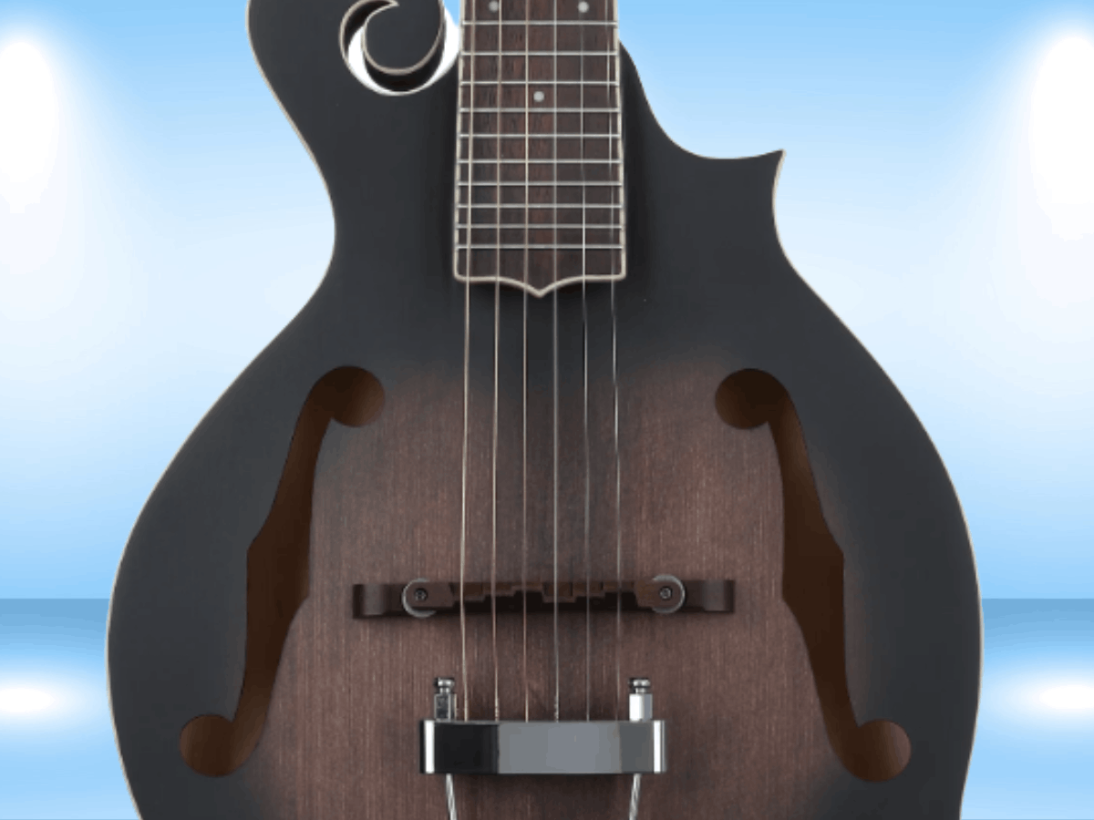 How Many Strings Does A Mandolin Have? | Ted's List