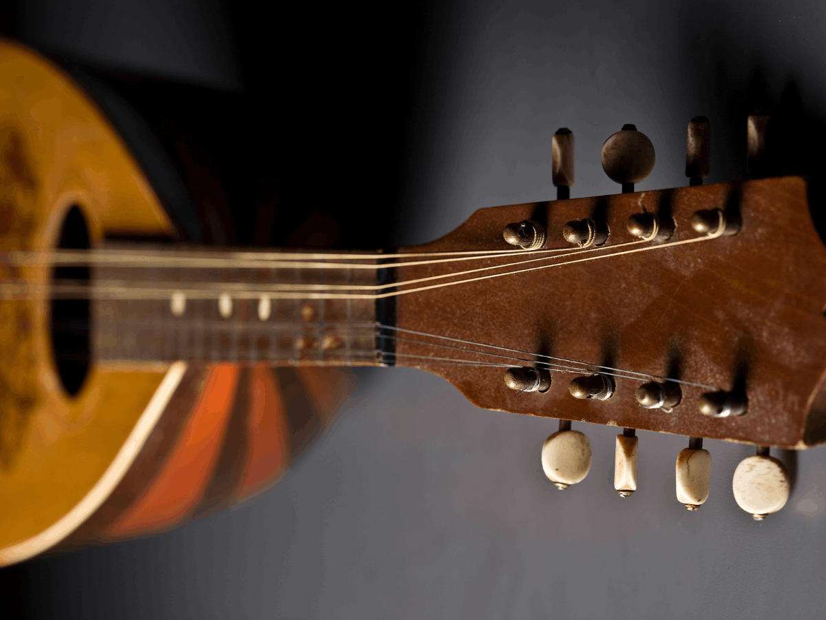 How Many Strings Does A Mandolin Have? | Ted's List