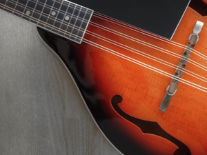 How Many Strings Does A Mandolin Have? | Ted's List
