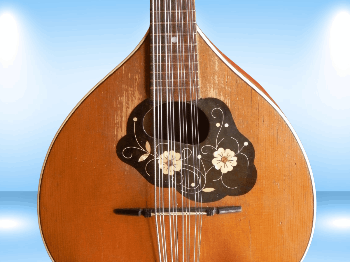 How Many Strings Does A Mandolin Have? | Ted's List