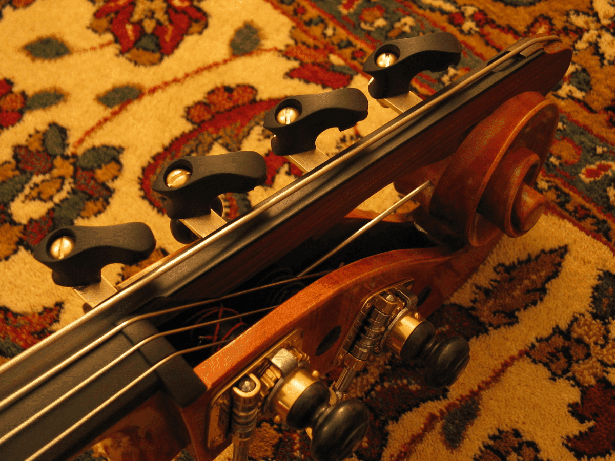How Many Strings Does A Double Bass Have? | Ted's List