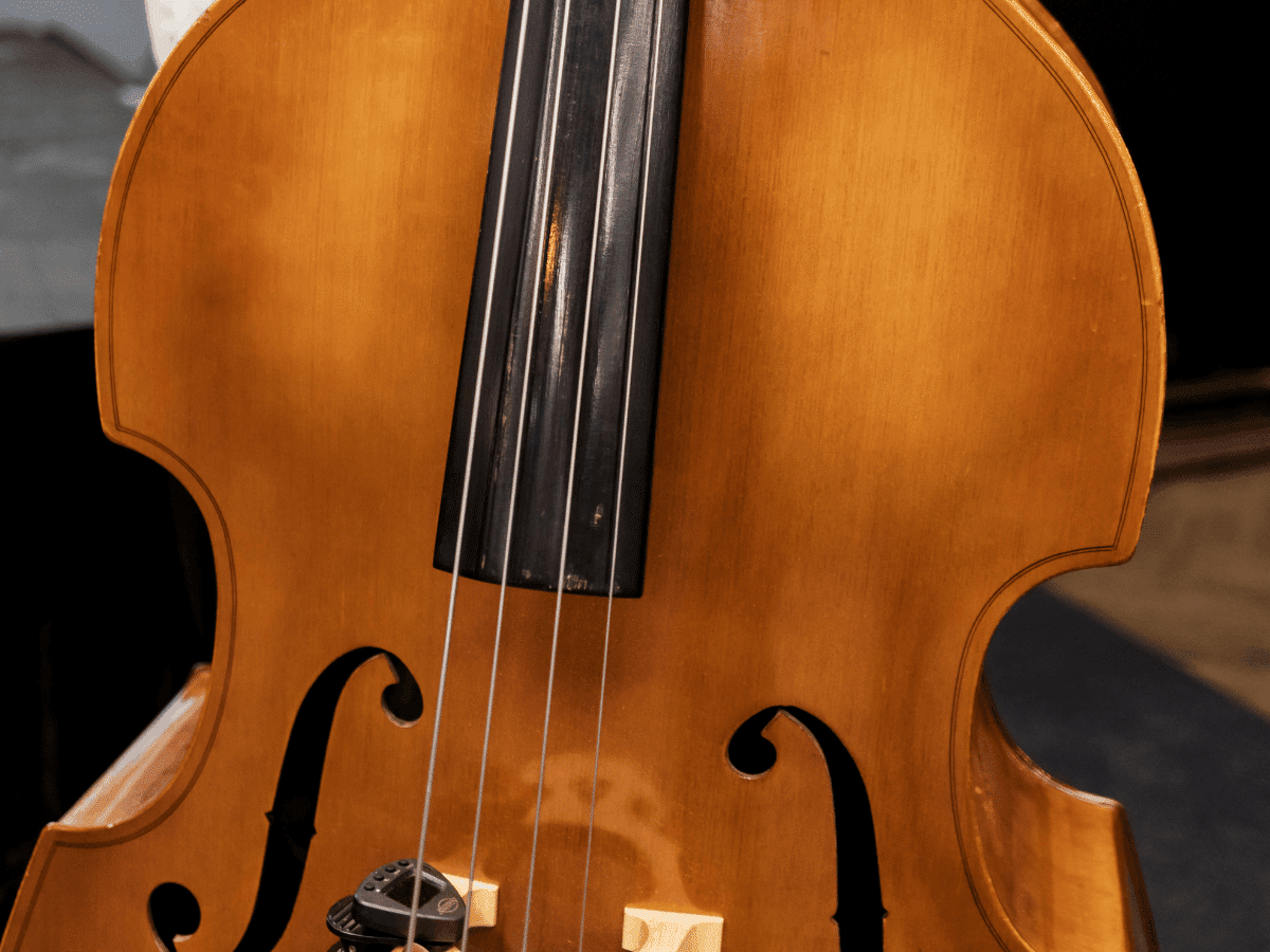 How Many Strings Does A Double Bass Have? | Ted's List
