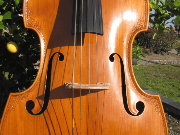 How Many Strings Does A Double Bass Have? | Ted's List