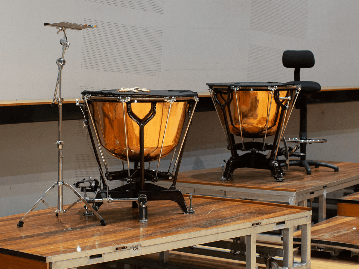 The Ultimate List Of Percussion Instruments In The Orchestra | Ted's List