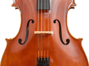 How Many Strings Does A Cello Have? | Ted's List