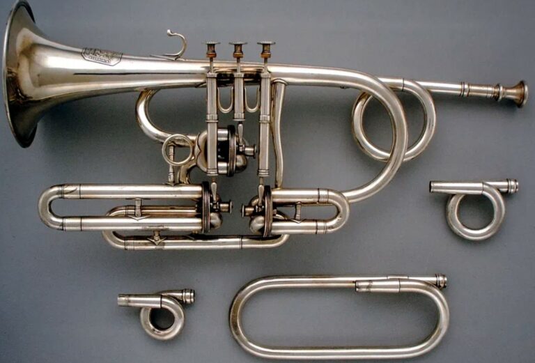 Trumpet Notes: A Beginner's Guide | Ted's List