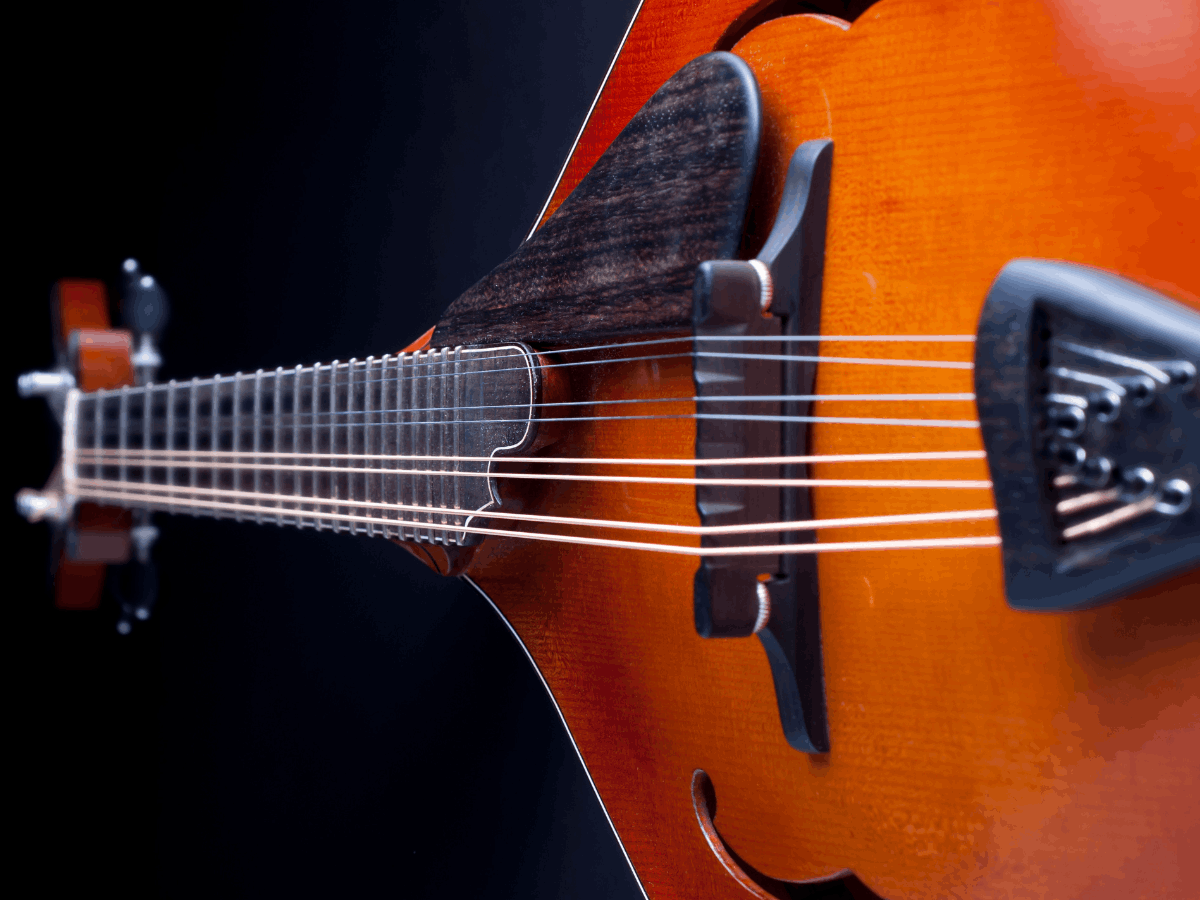 How Many Strings Does A Mandolin Have? | Ted's List