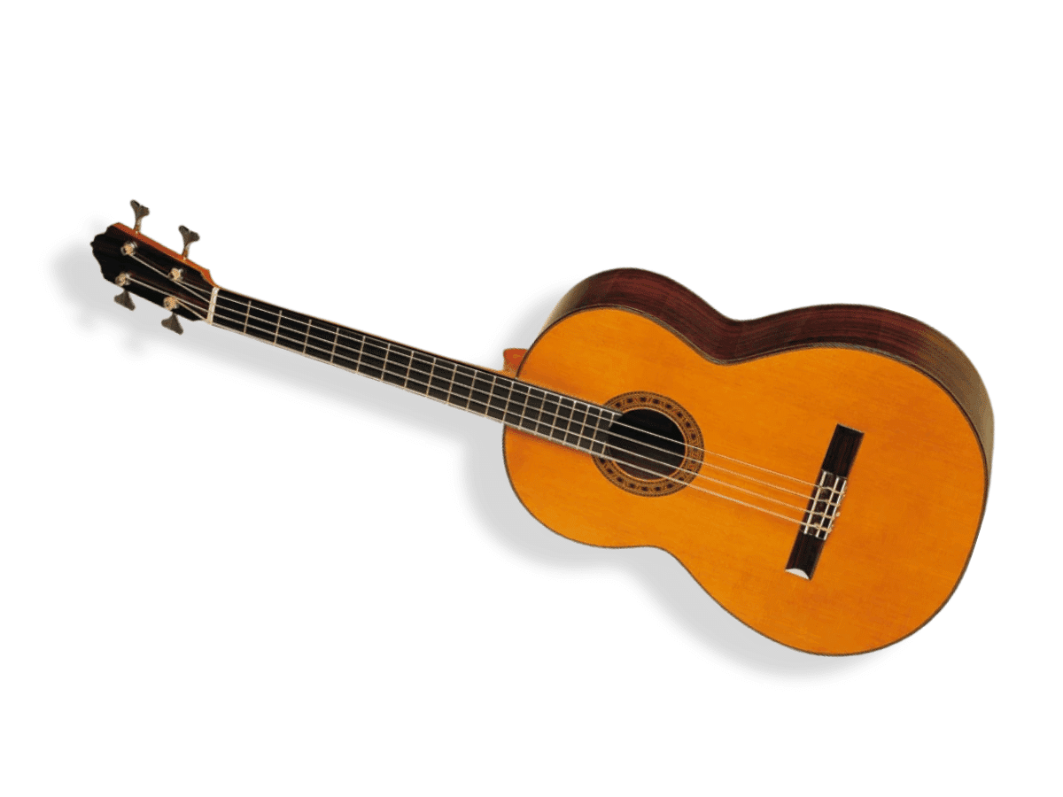 How Many Strings Does A Classical Guitar Have? | Ted's List