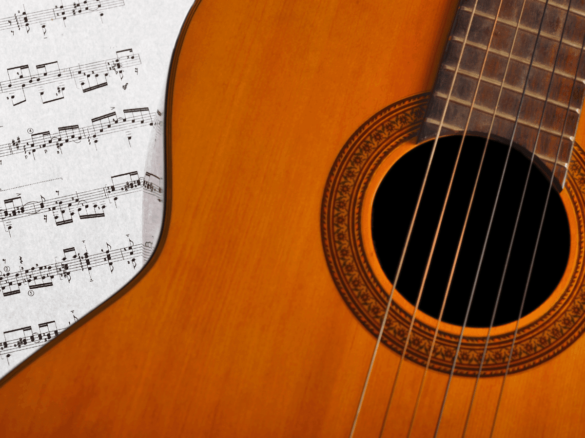 A Guide To The Different Types Of Guitar Wood | Ted's List