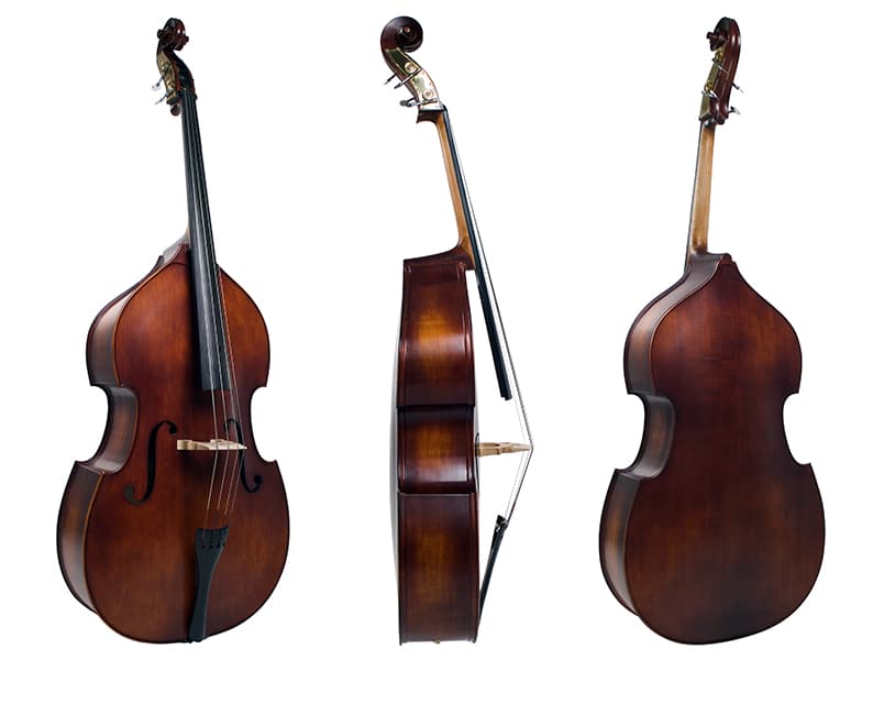 What Size Cello Do I Need? | Ted's List
