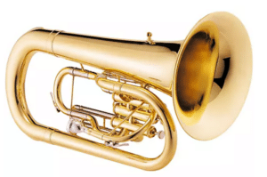 Marching Euphonium: The Ultimate Guide To Playing With A Brass Band ...
