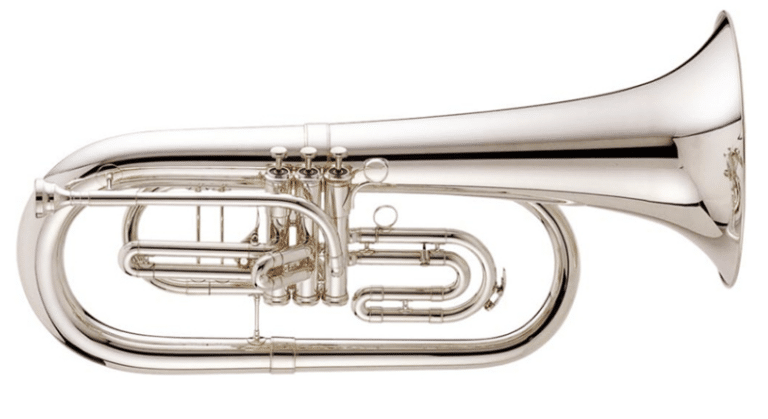 Marching Euphonium: The Ultimate Guide To Playing With A Brass Band | Ted's List