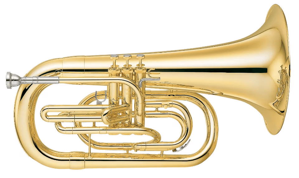 Marching Euphonium: The Ultimate Guide To Playing With A Brass Band ...