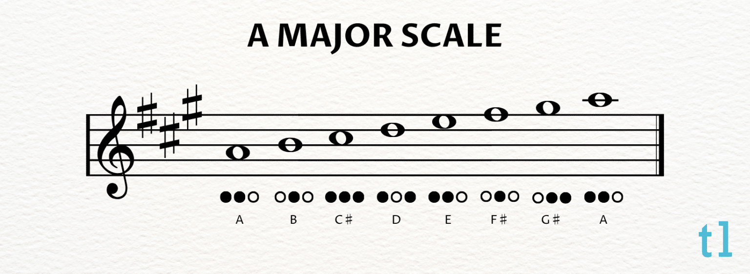Trumpet Scales Finger Chart: The Ultimate Cheat Sheet For Aspiring Trumpeters! | Ted's List