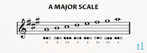 Trumpet Scales Finger Chart: The Ultimate Cheat Sheet For Aspiring ...