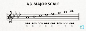 Trumpet Scales Finger Chart: The Ultimate Cheat Sheet For Aspiring ...