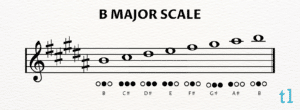 Trumpet Scales Finger Chart: The Ultimate Cheat Sheet For Aspiring ...