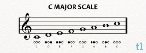 Trumpet Scales Finger Chart: The Ultimate Cheat Sheet For Aspiring ...