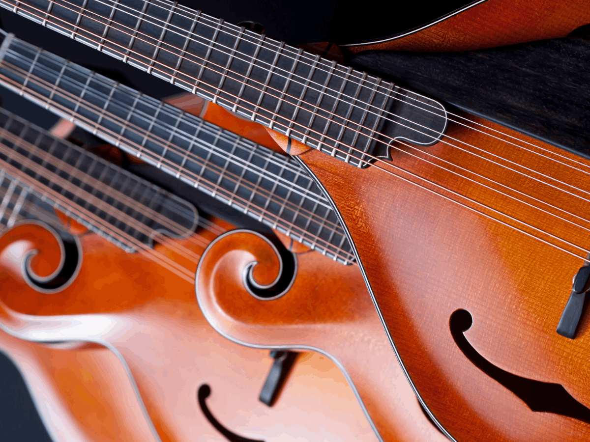 Mandolin Bridge Placement: Make Sure You Don't Do This… | Ted's List