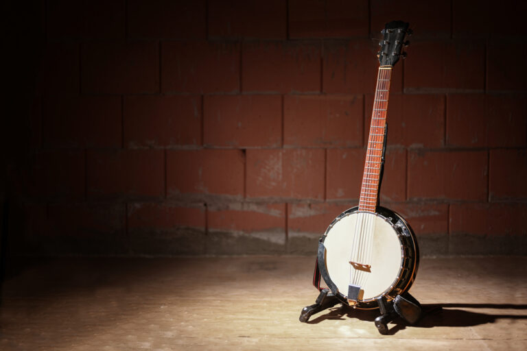 The Most Famous Banjo Player: Strumming To Stardom With Bluegrass Beats ...