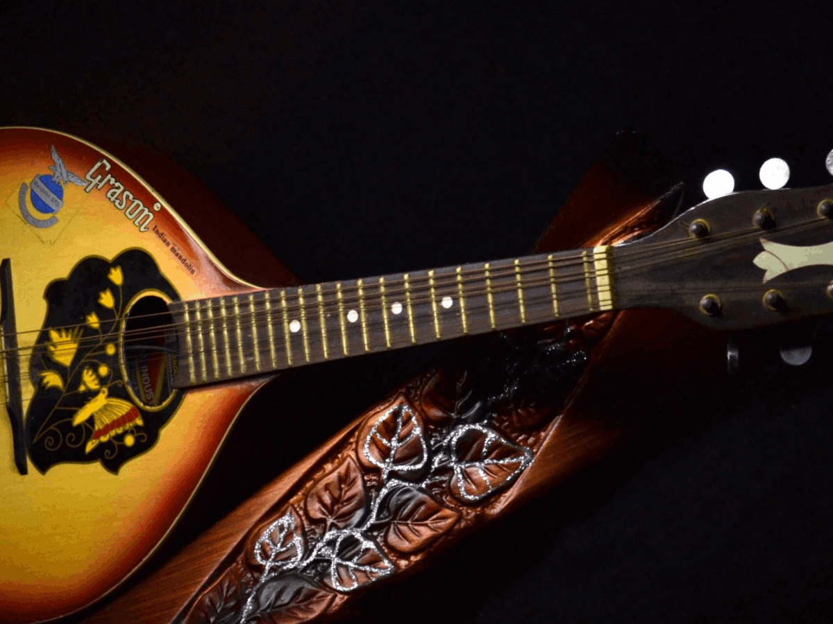 Mandolin Bridge Placement: Make Sure You Don't Do This… | Ted's List