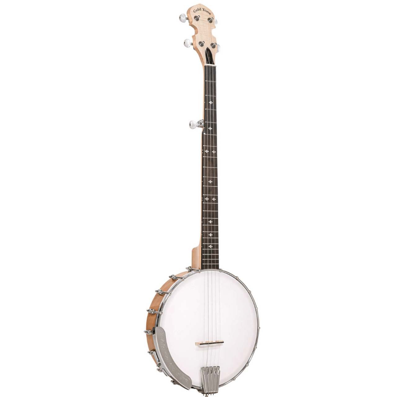 The Most Famous Banjo Player: Strumming To Stardom With Bluegrass Beats ...
