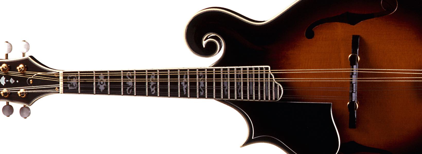 Mandolin Bridge Placement: Make Sure You Don't Do This… | Ted's List