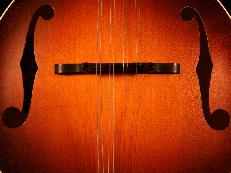 Mandolin Bridge Placement: Make Sure You Don't Do This… | Ted's List