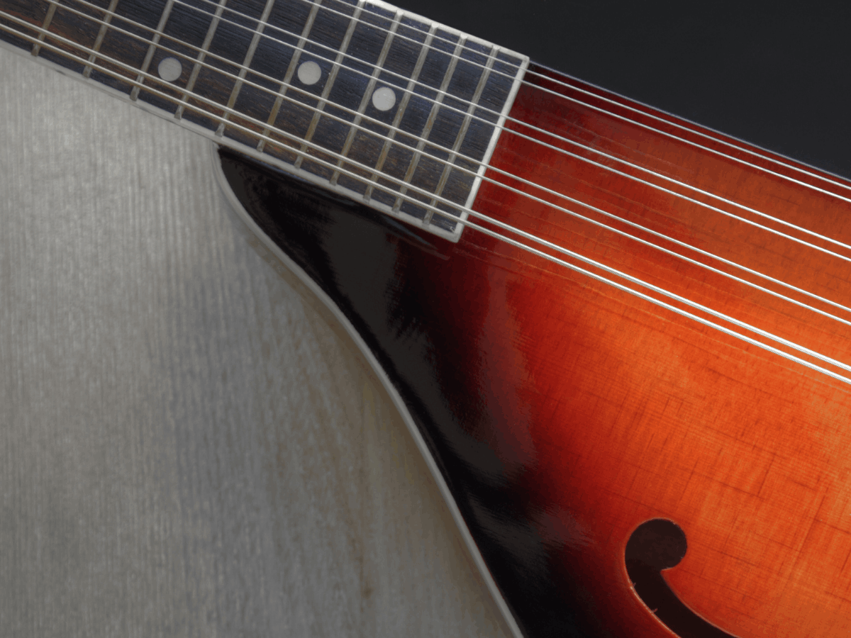 Mandolin Bridge Placement: Make Sure You Don't Do This… | Ted's List