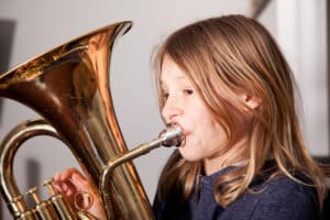 Euphonium Vs Baritone: Which Brass Instrument Reigns Supreme? | Ted's List