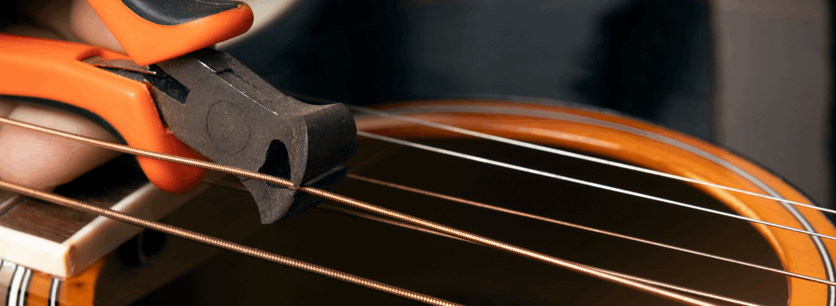 Stringing A Mandolin: The Ultimate Guide For Beginners! | Ted's List