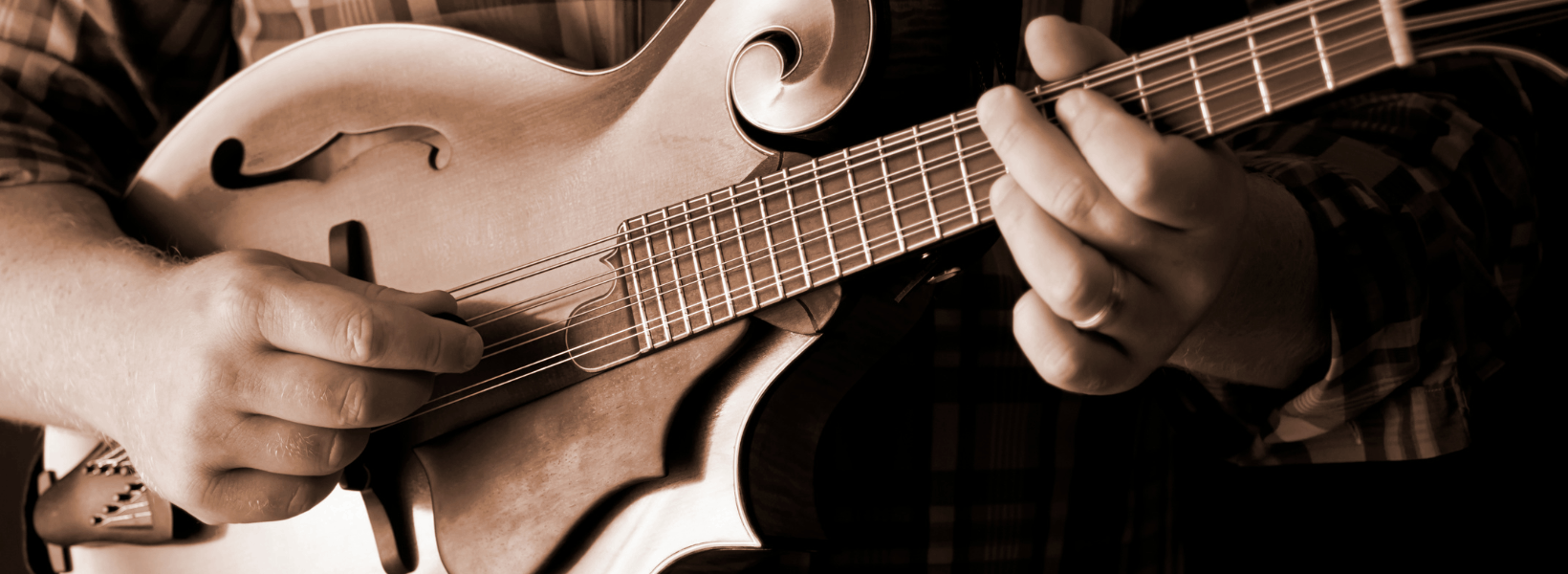 Stringing A Mandolin: The Ultimate Guide For Beginners! | Ted's List