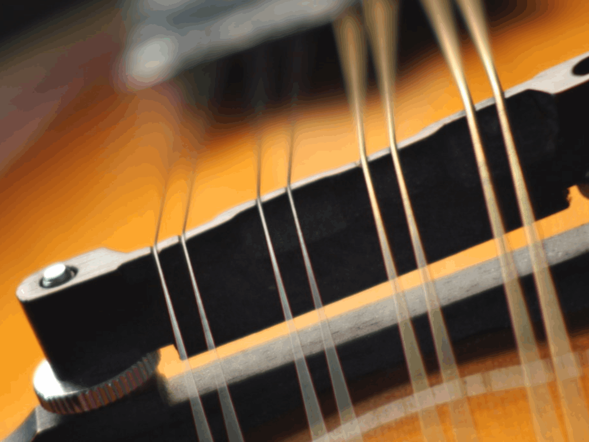 Mandolin String Notes: Mastering The Basics For Beginners | Ted's List